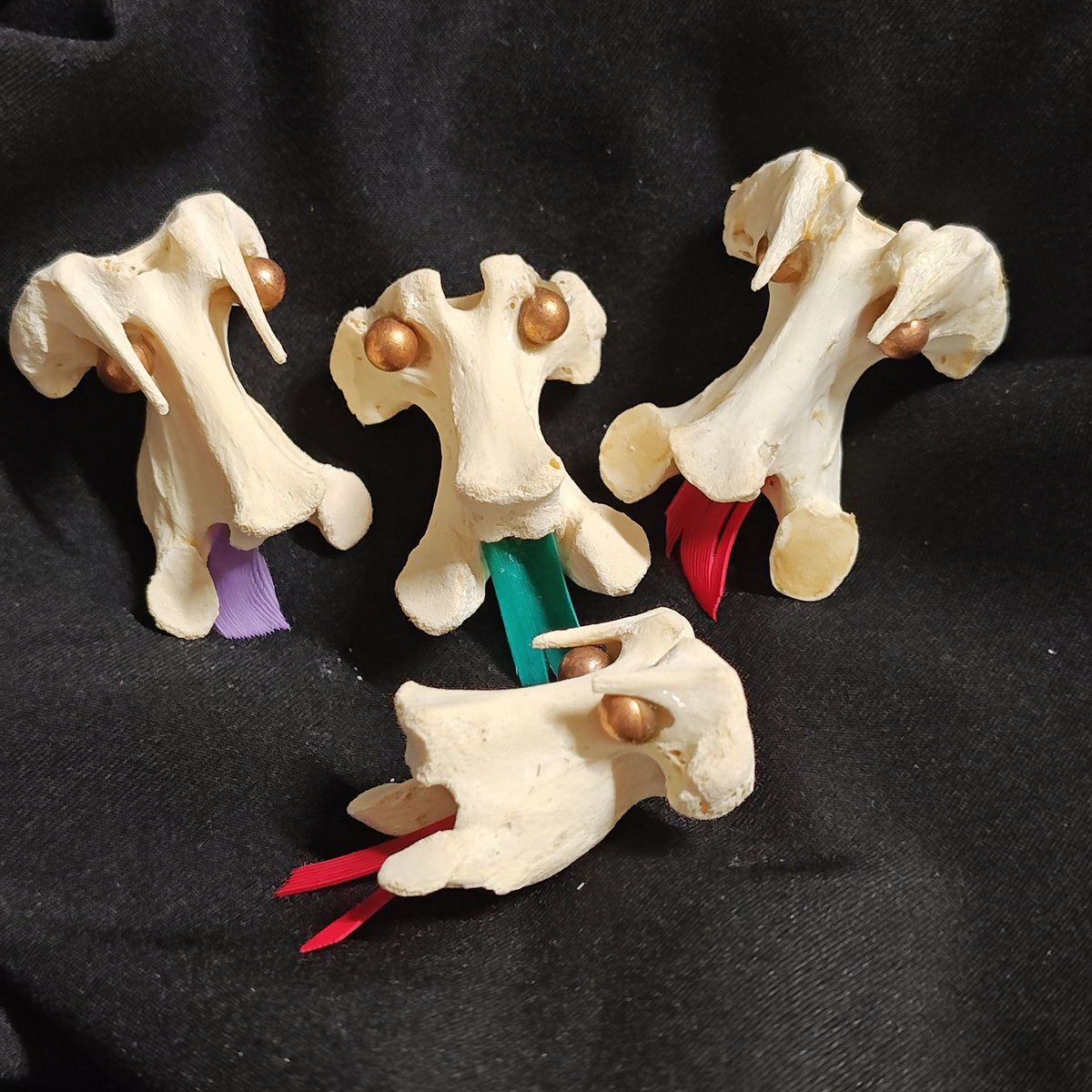 Bone Dragon Head Copper Eyes – Just Witchy's