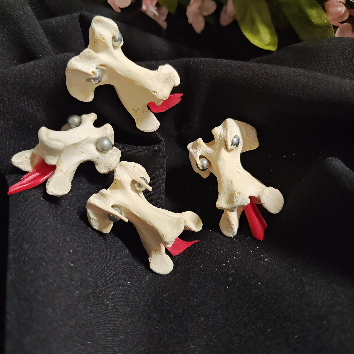 Bone Dragon Head Silver Eyes – Just Witchy's