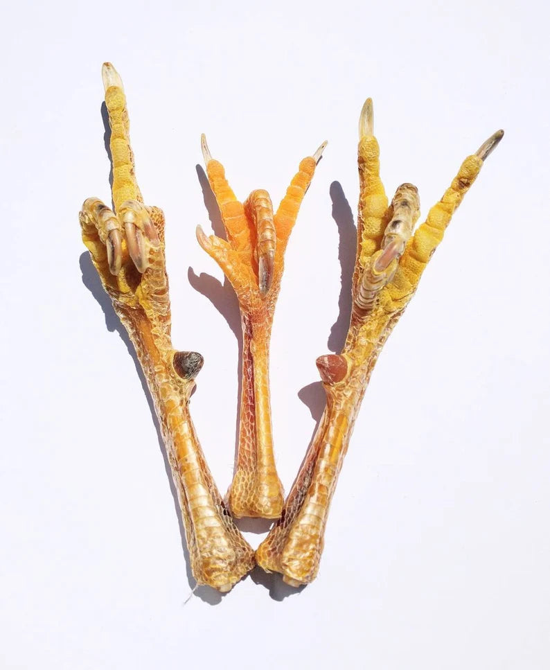 Dried Chicken Foot – Just Witchy's